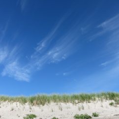 Codroy Valley Provincial Park - ParksNL